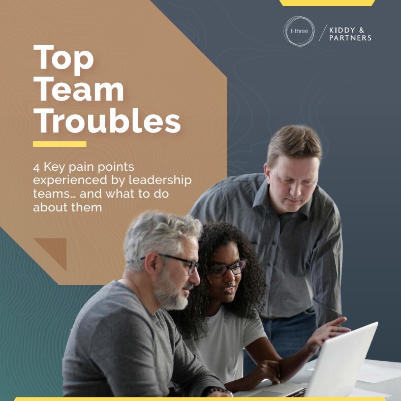 Top Team Troubles eBook